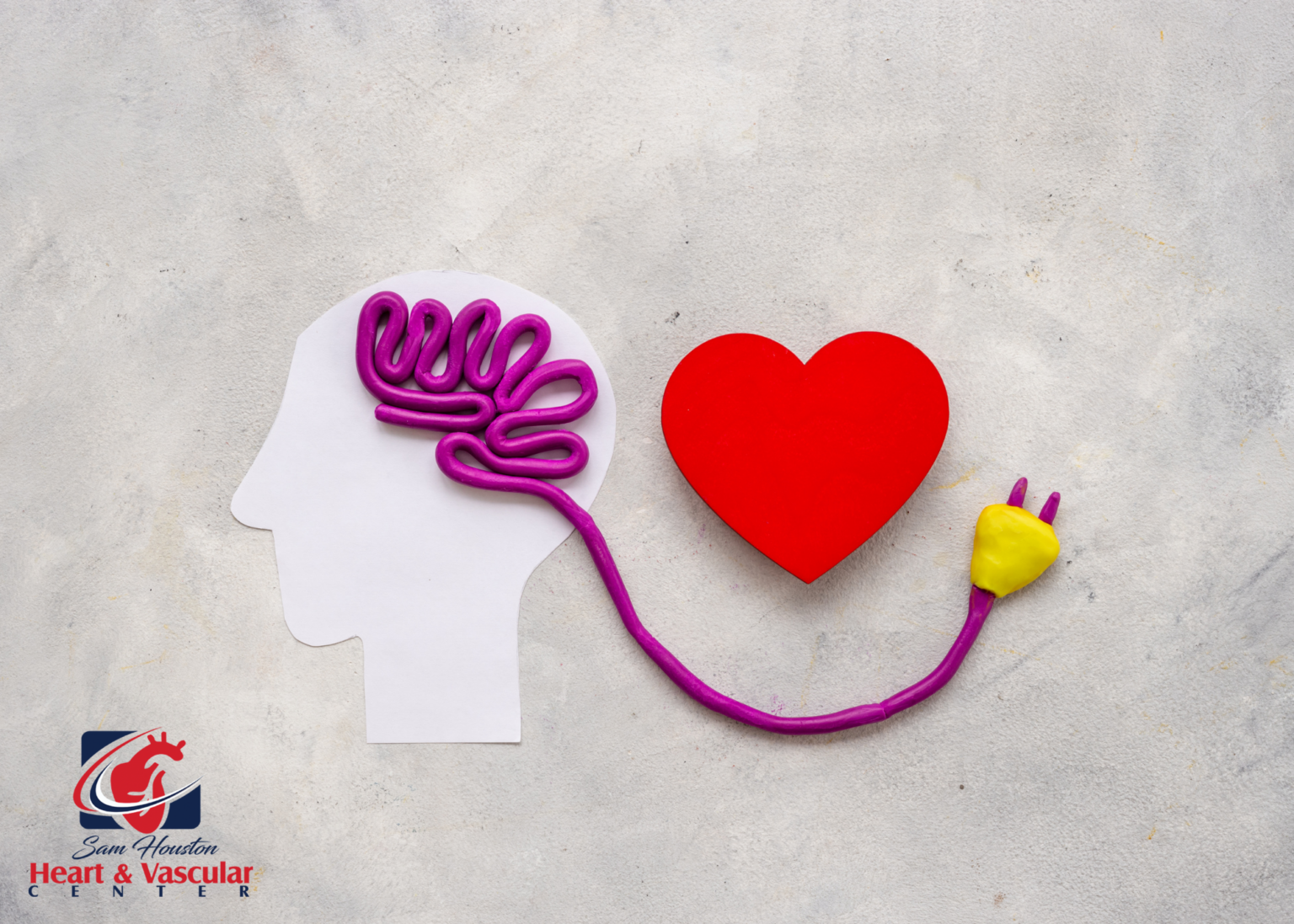 The Connection Between Mental Health and Cardiovascular Wellness